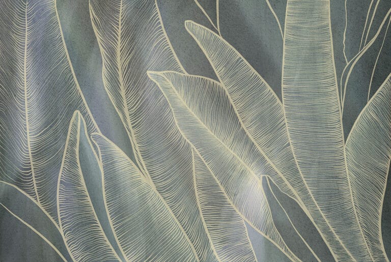 Nature Wallpaper - kith2kin