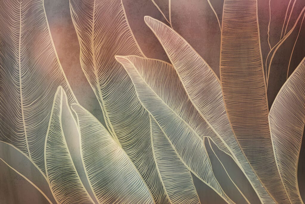 Nature Wallpaper - kith2kin